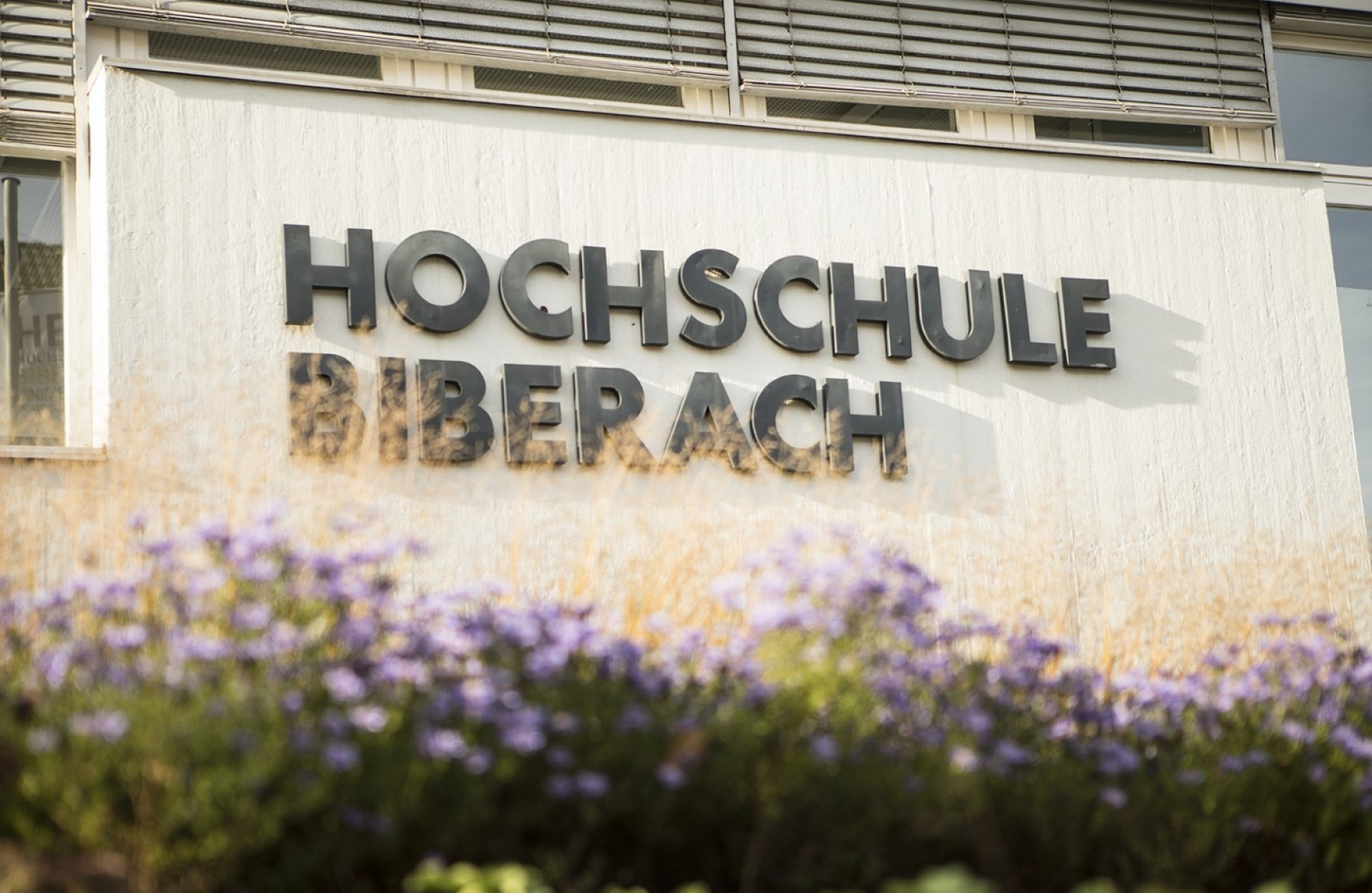Startseite | Hochschule Biberach