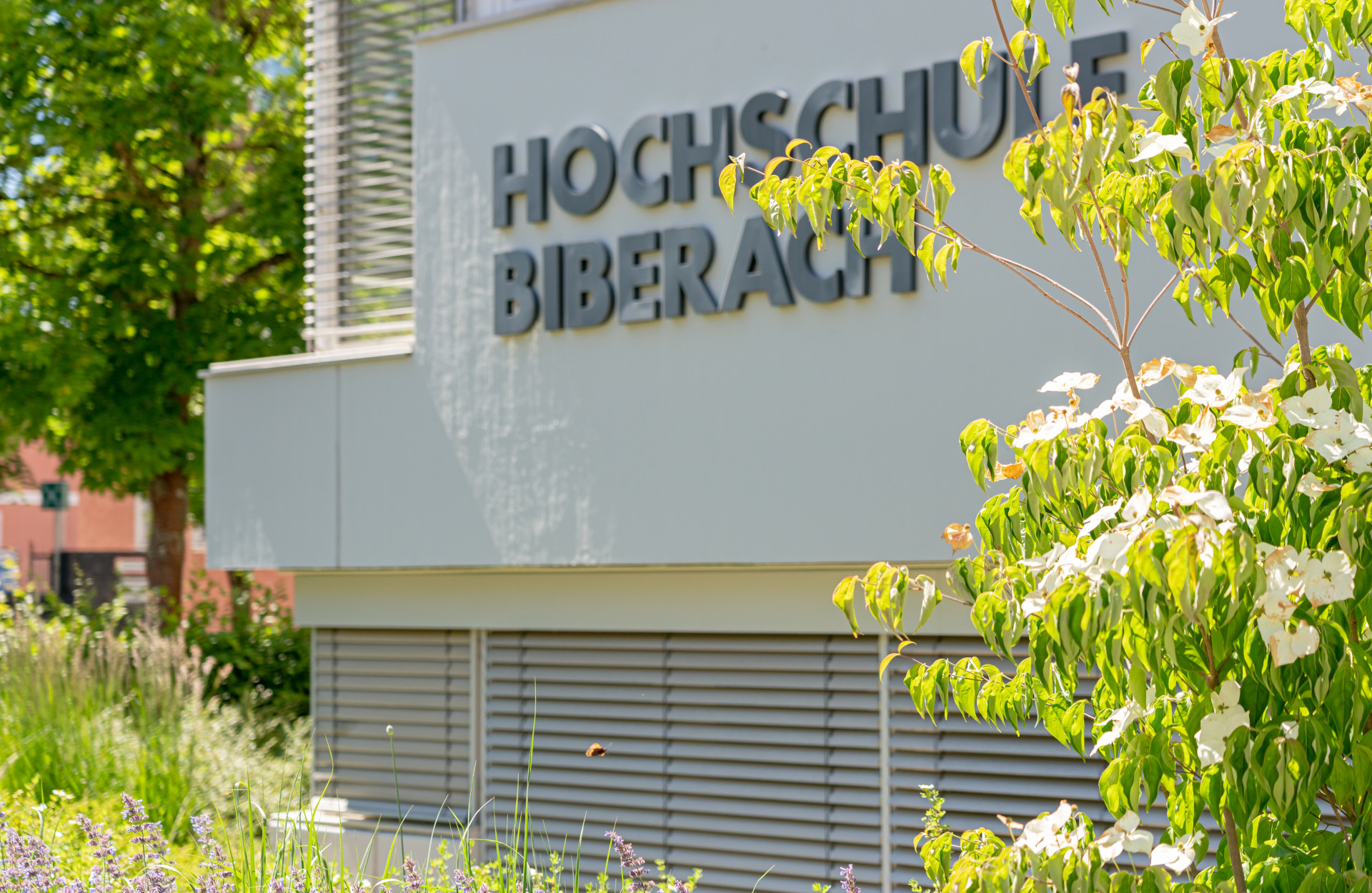 Hochschule Biberach