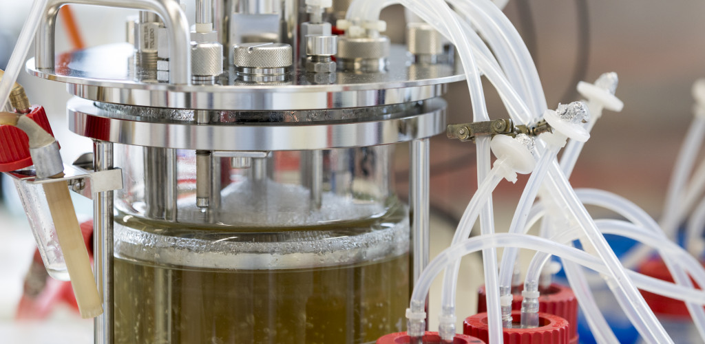 Pharmazeutische Biotechnologie | Hochschule Biberach